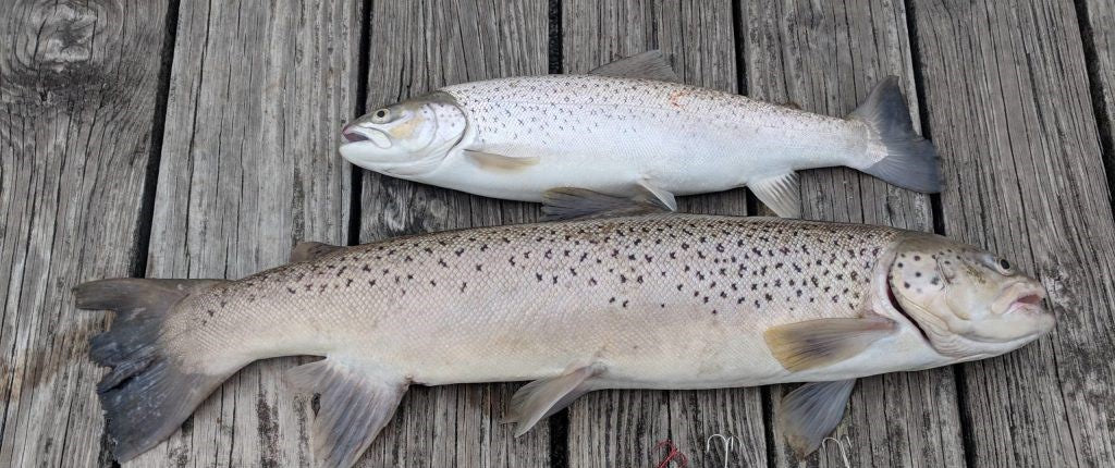 Niches get Britches: The Birth and Story of Custom RIFT™ Fishing Spoon ...